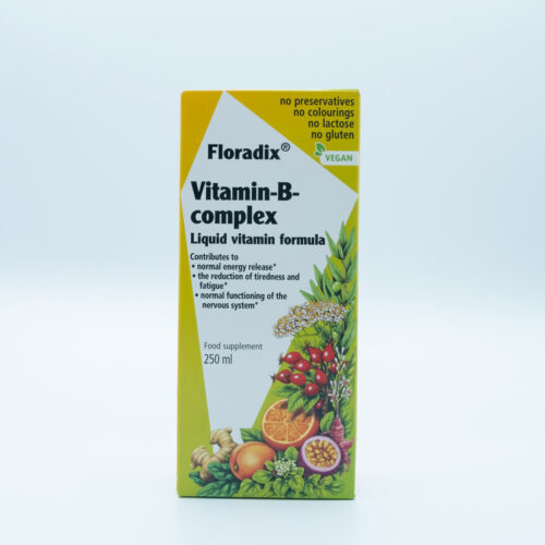 Floradix Vitamin B Complex 250ml - MediWell Clinic